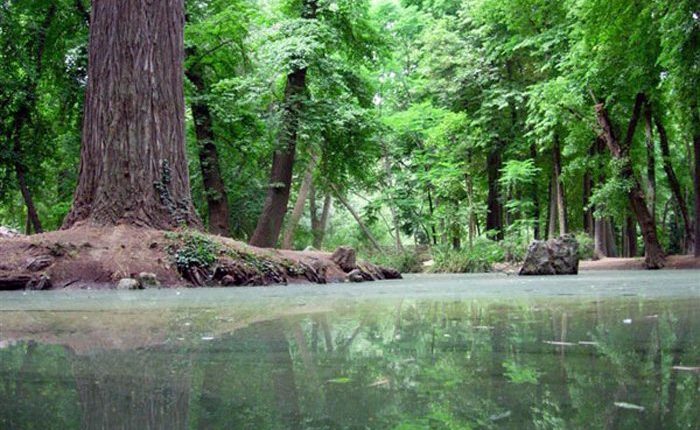 México promueve aprovechamiento sustentable de recursos forestales ...