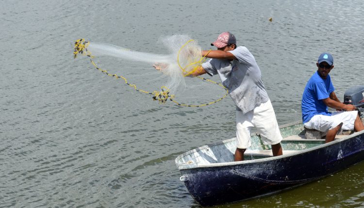 Retornan de la pesca de mero en Progreso | Panorama Agrario