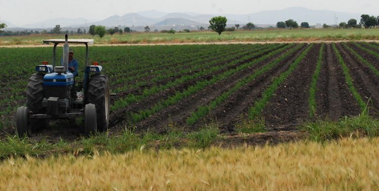Extensionistas de Oaxaca se capacitan en agricultura sustentable ...