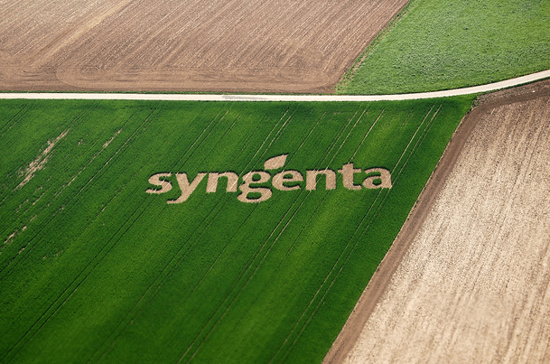 Syngenta, lista para empujar uso de semilla híbrida en el sur del país ...