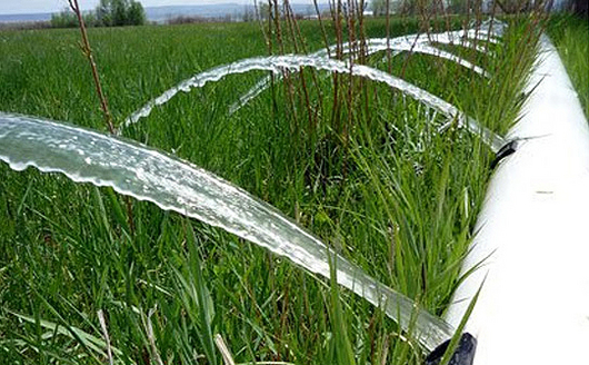 Buscan optimizar irrigación de cultivos • Panorama Agrario