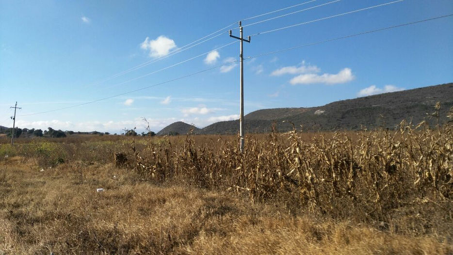 Pretenden mejorar los sembradíos en región de Puebla • Panorama Agrario